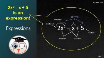 Algebraic Expressions – Time Flies Edu