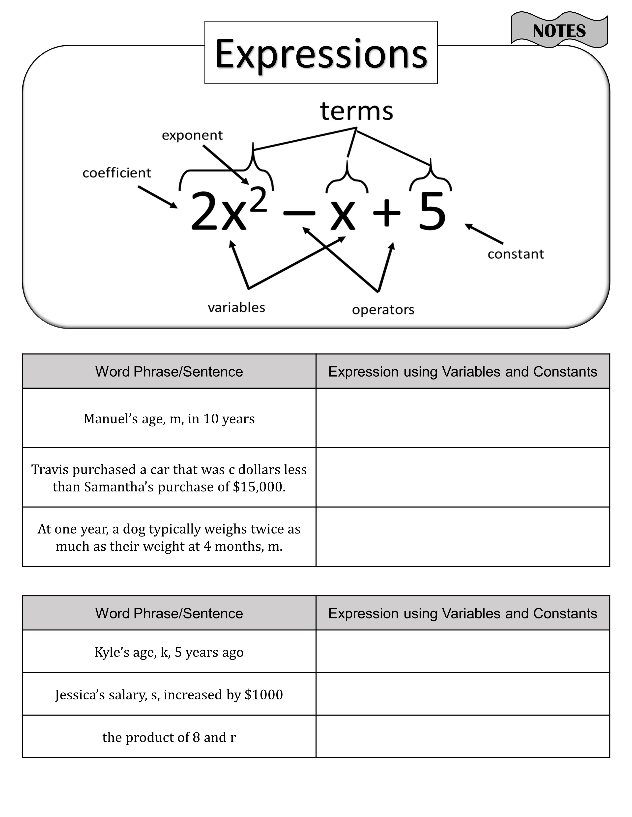 Algebraic Expressions – Time Flies Edu